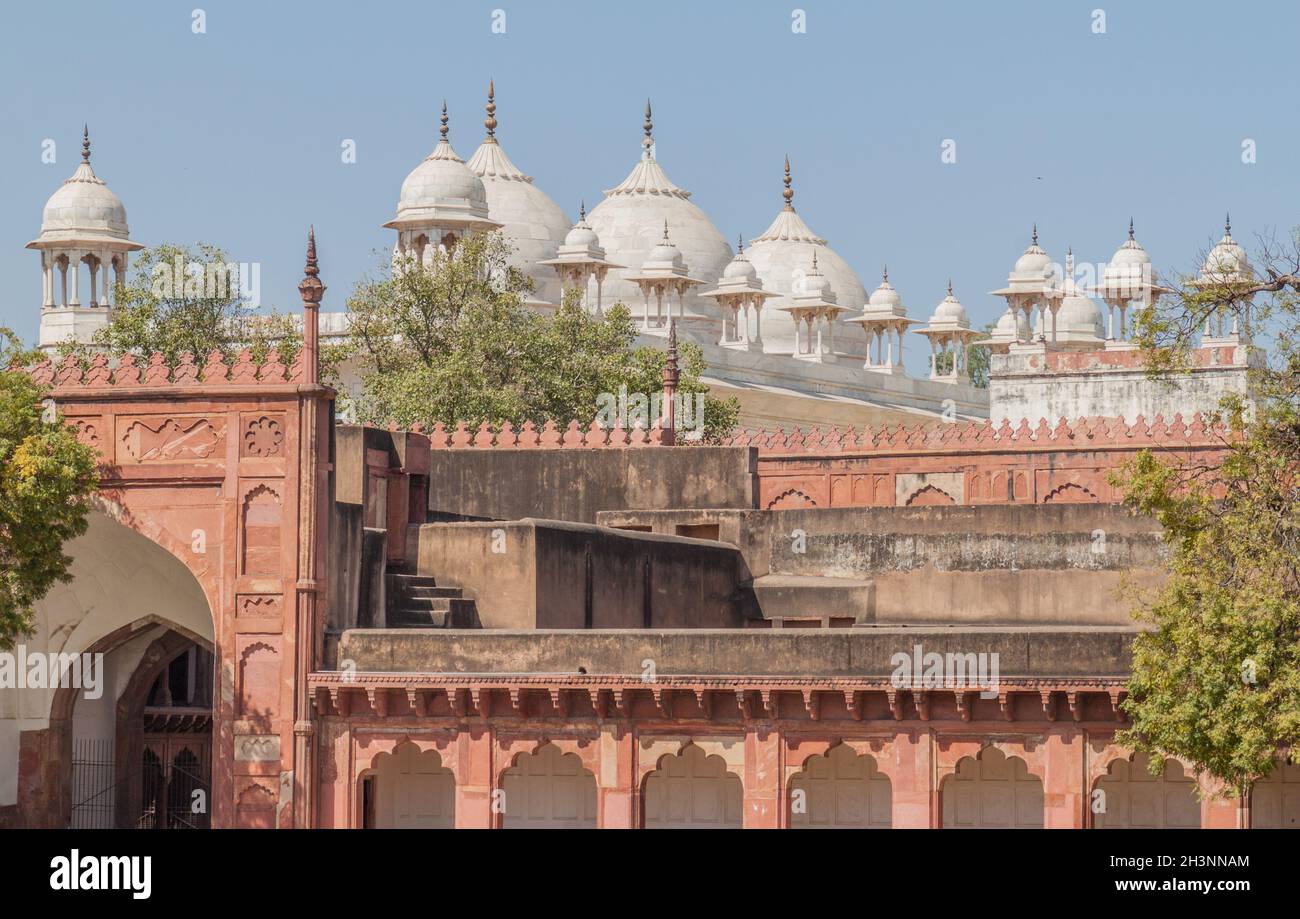 Moti Masjid mosque at Agra Fort, Uttar Pradesh state, India Stock Photo ...