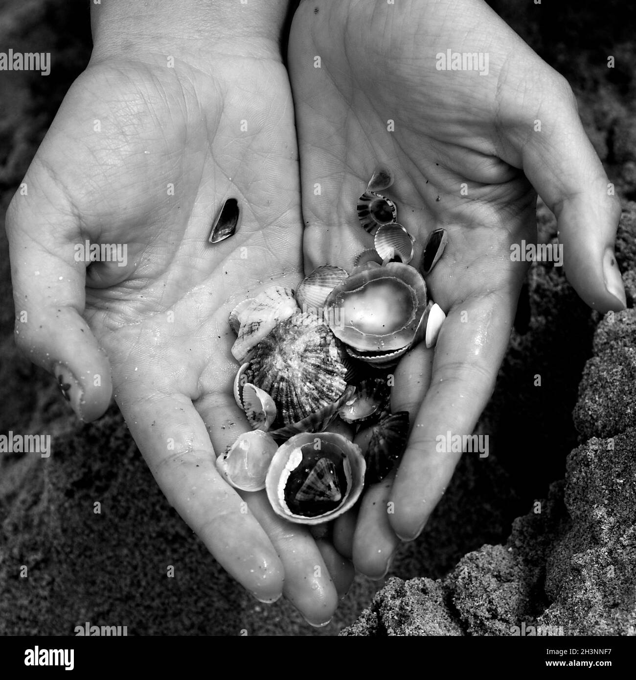 Diverse Senior Hands Stock Photo - Alamy