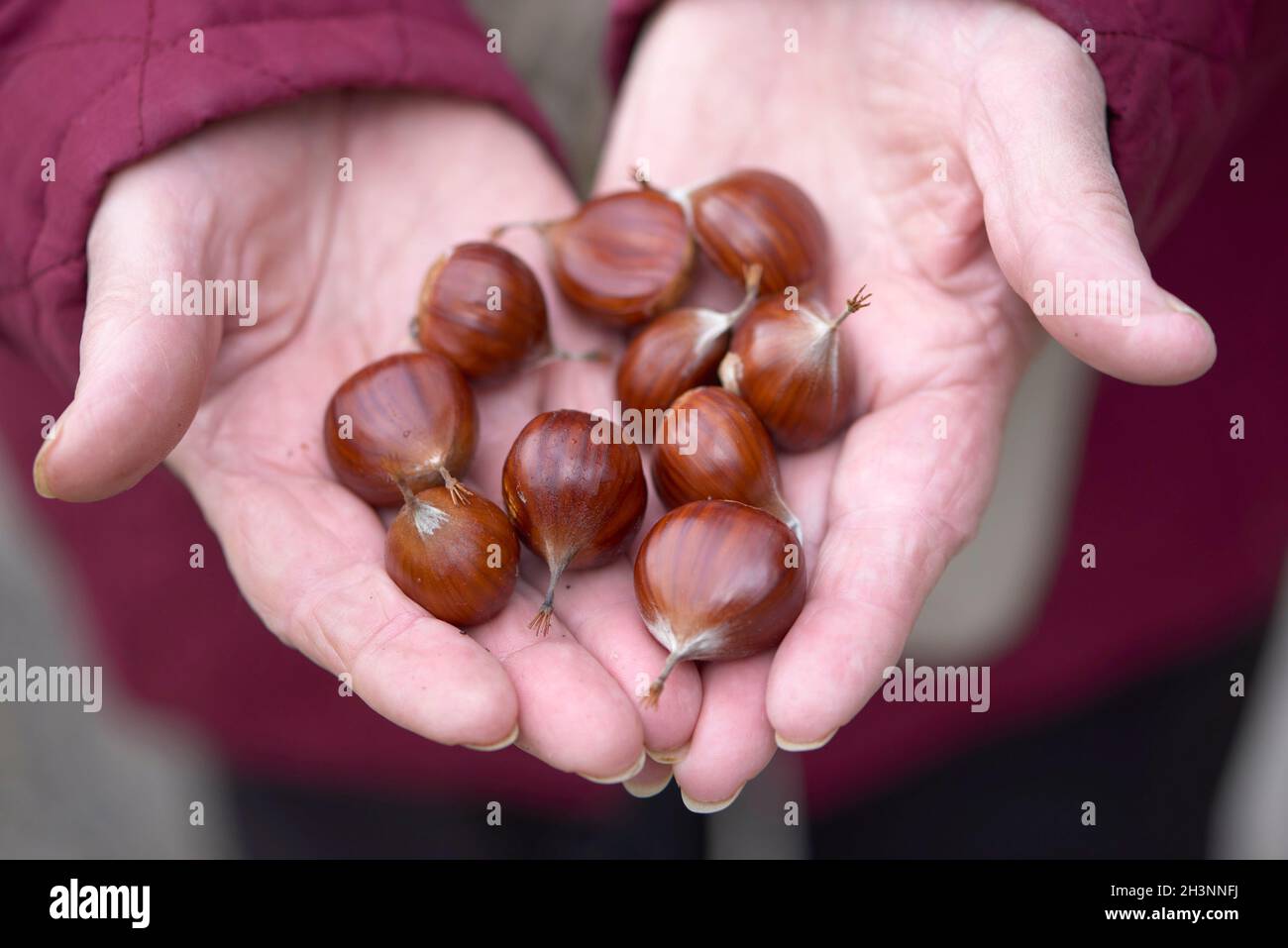 Diverse Senior Hands Stock Photo - Alamy
