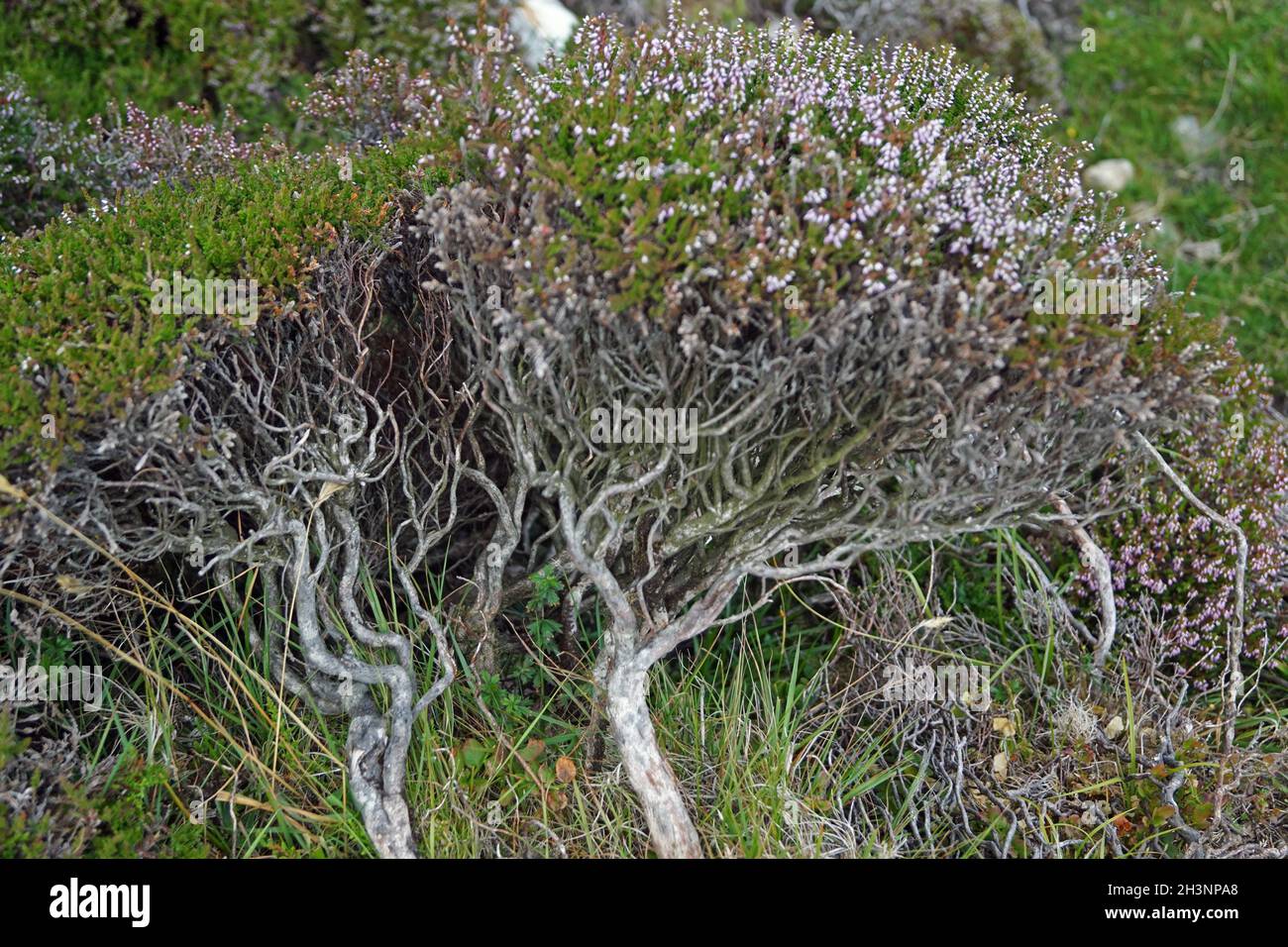 Wild Atlantic Way Slieve League Stock Photo - Alamy