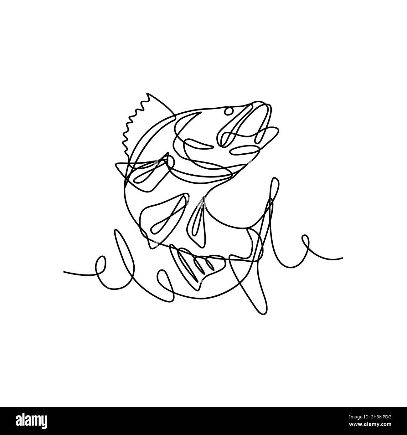 Walleye Yellow Pike Sander Vitreus or Yellow Pickerel Jumping Up ...