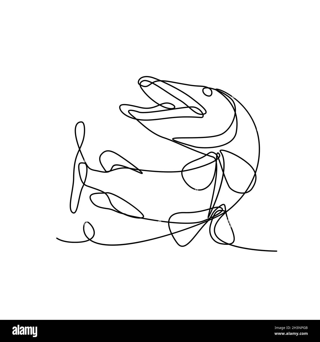 Muskie fish Black and White Stock Photos & Images - Alamy