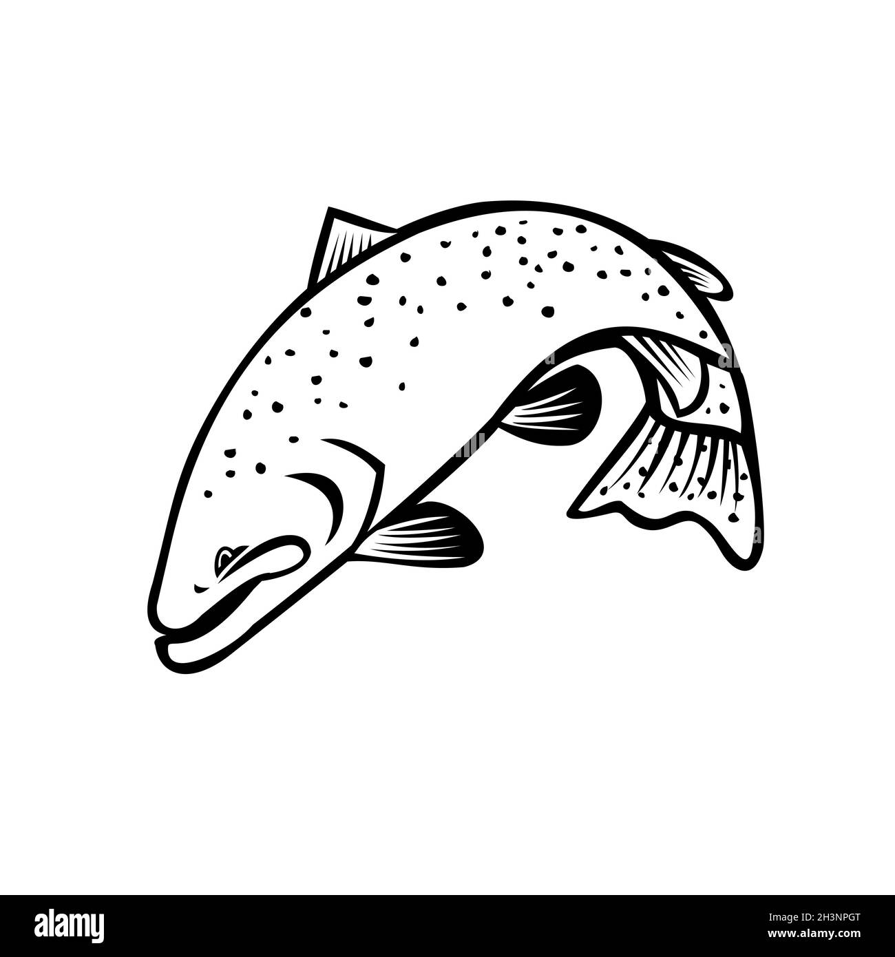 Trout Jumping Outline