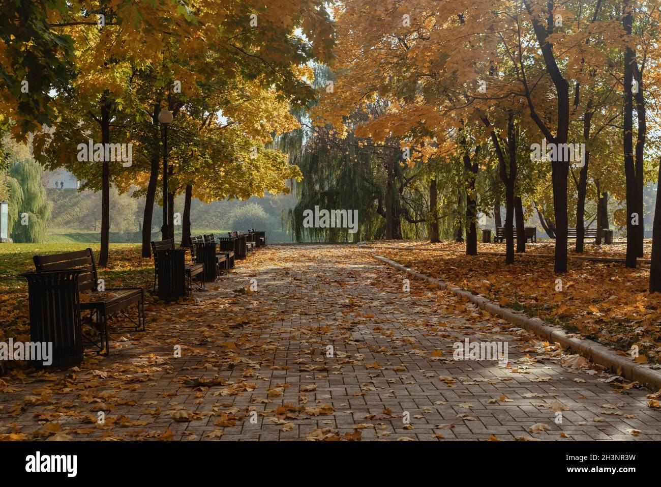 Novodevichy ponds hi-res stock photography and images - Alamy