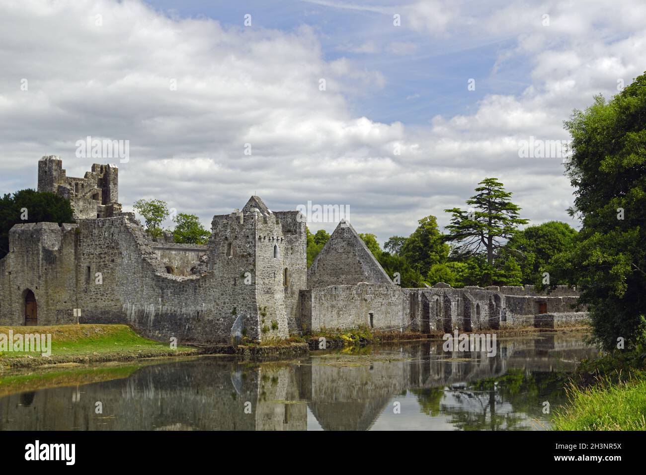 Desmond castle hi-res stock photography and images - Alamy