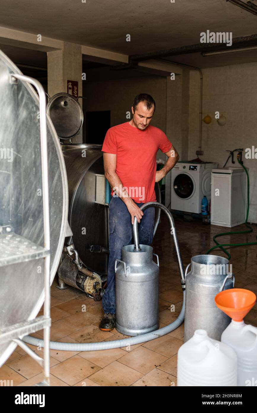 Male farmer filling a container with fresh milk from the dairy farm ...