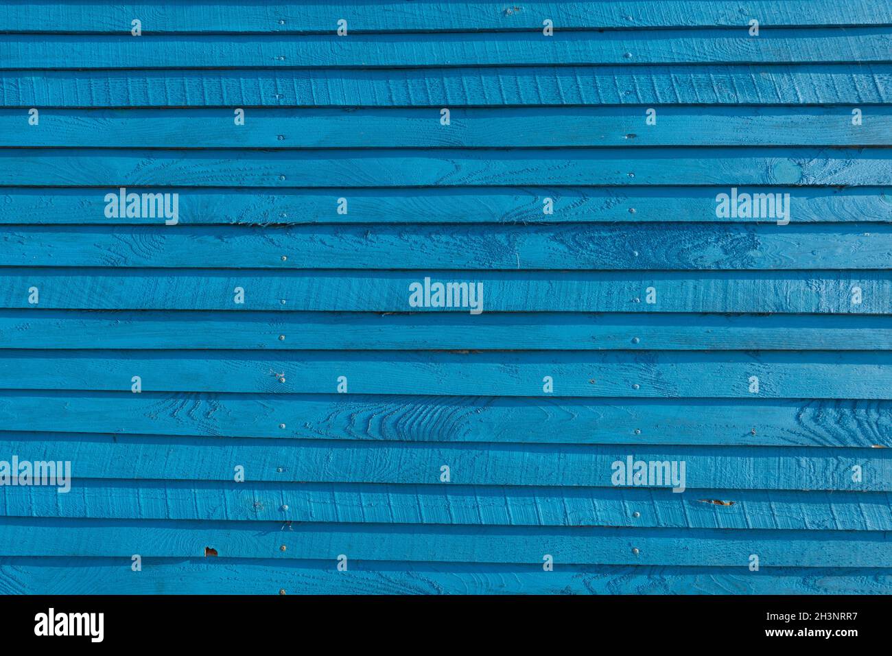 Background from horizontal planks in bright blue. Ultramarine wooden ...