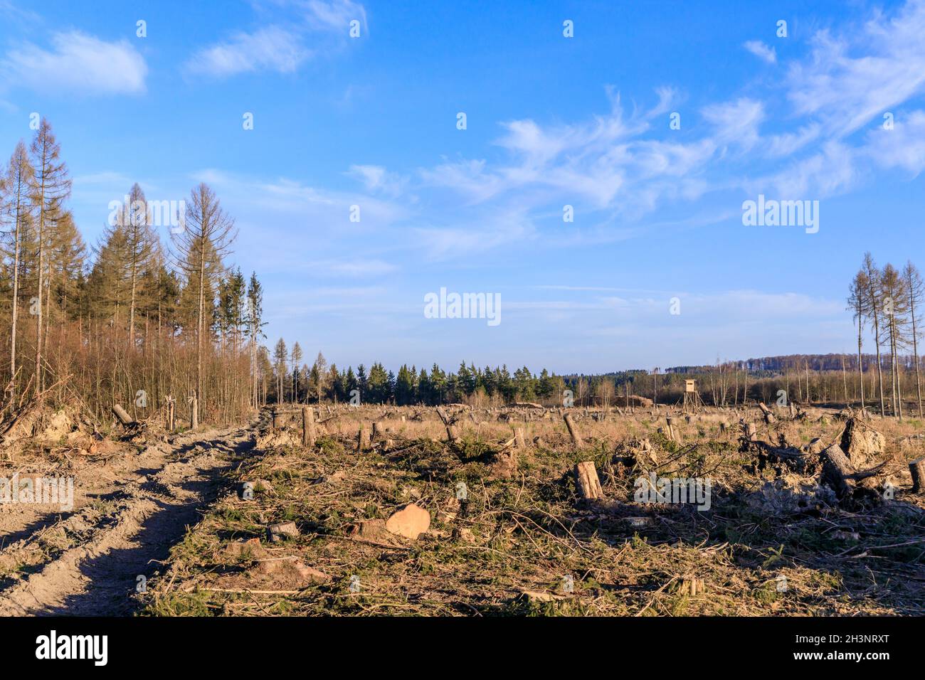 Clear cutting hi-res stock photography and images - Alamy