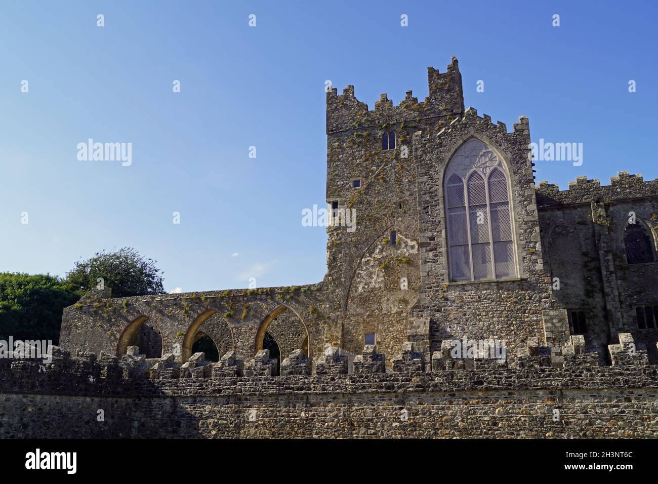 Tintern abbey wexford hi-res stock photography and images - Alamy
