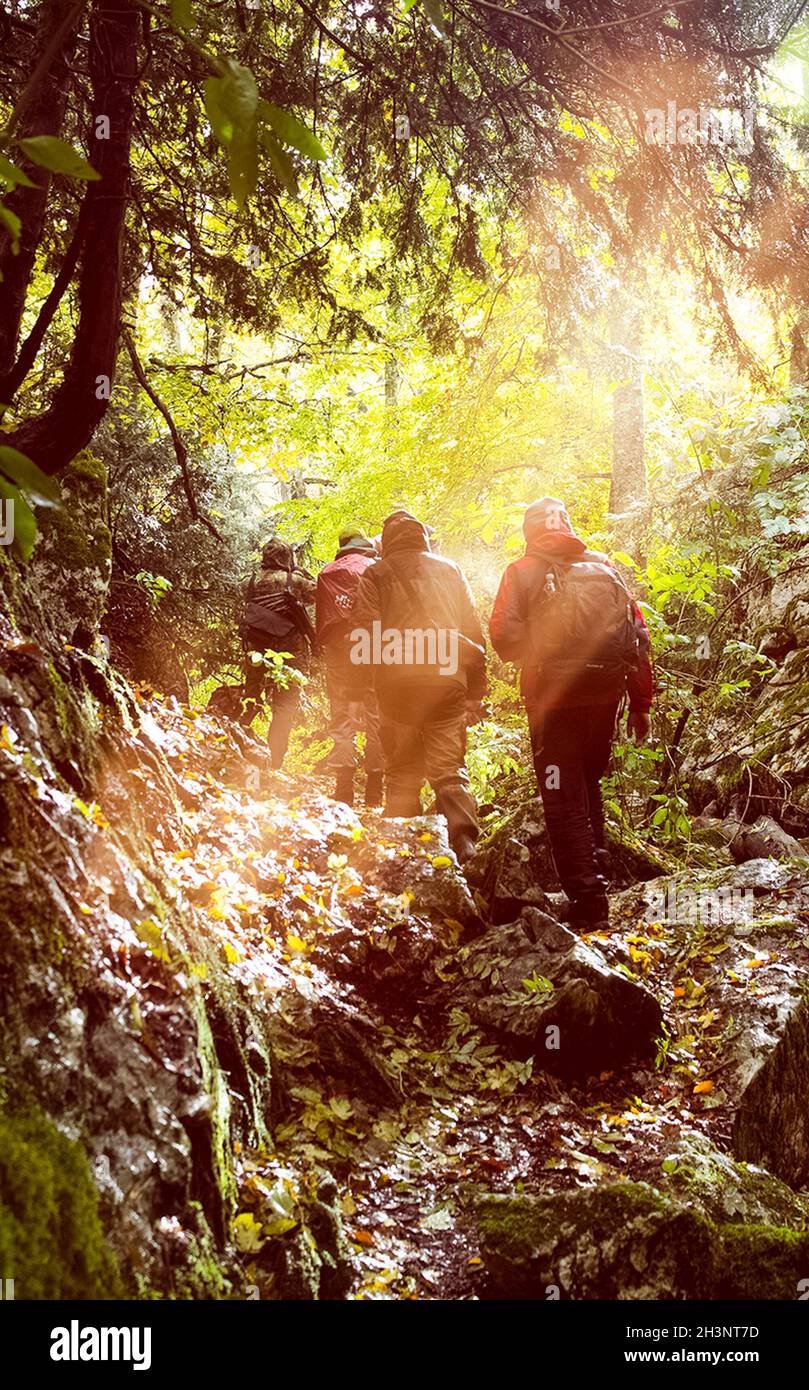 Tourists walk through the forest along path through the rocks. Autumn ...