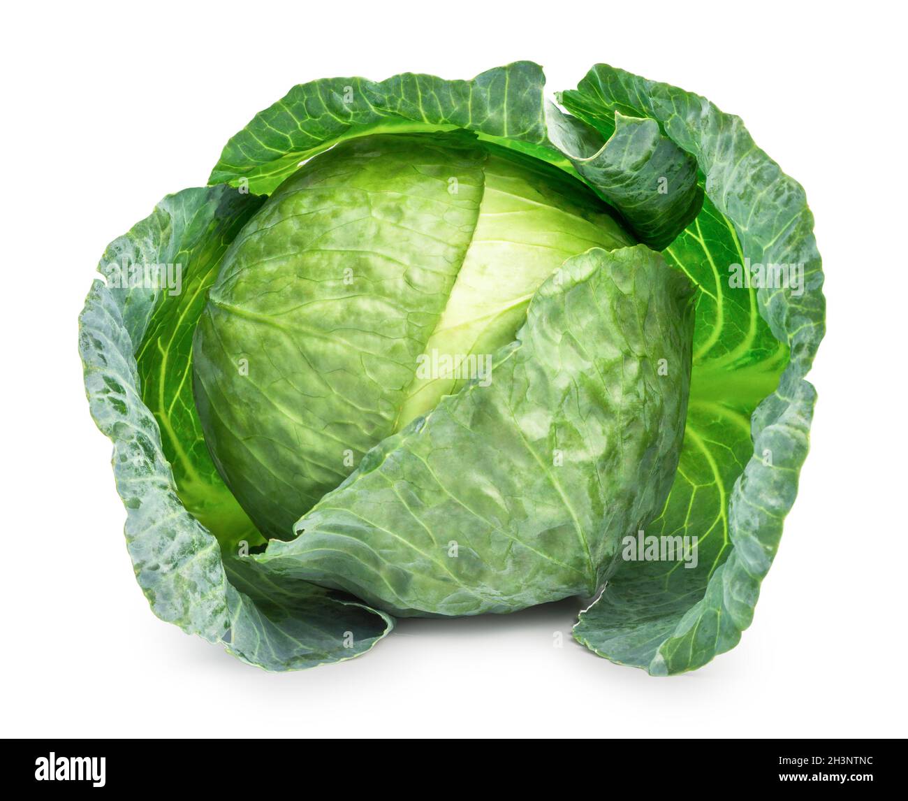 Green cole hi-res stock photography and images - Alamy