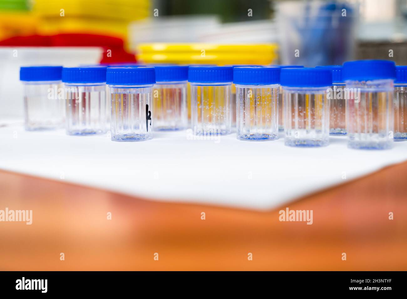 Test tubes with liquid and blue lid in laboratory. Quality control ...