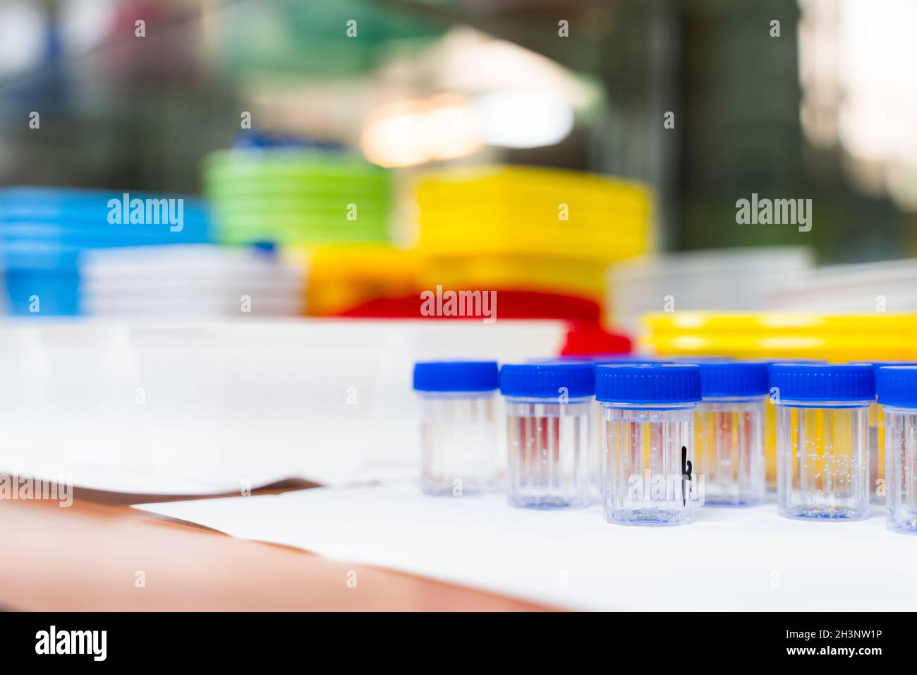 Little test tubes with transparent liquid in laboratory by colorful ...