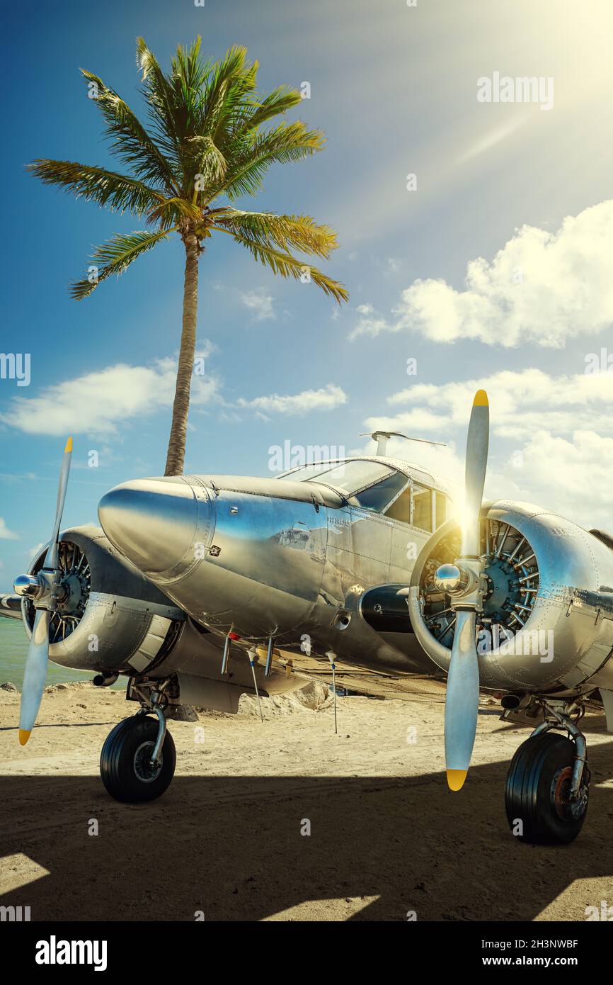 Airplane flight palm tree hi-res stock photography and images - Alamy