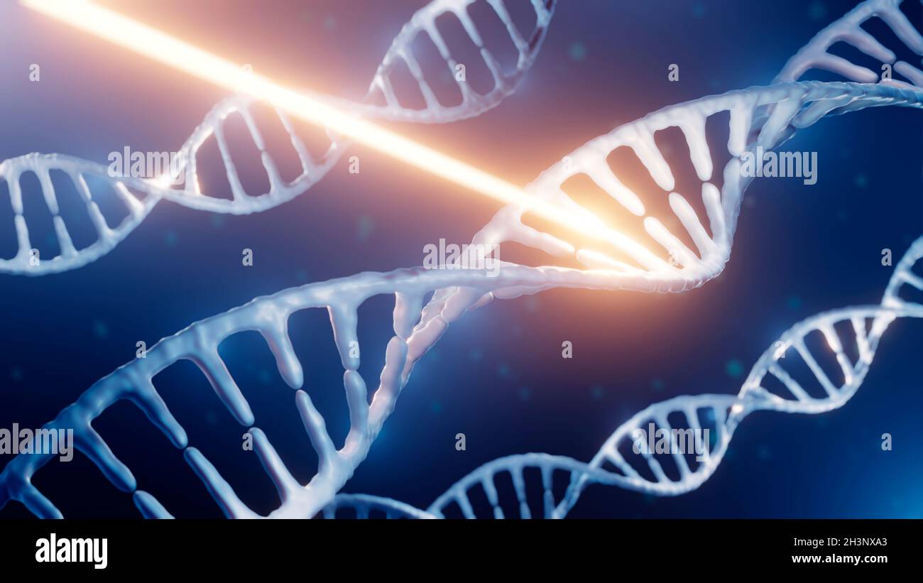 Dna breakage hi-res stock photography and images - Alamy