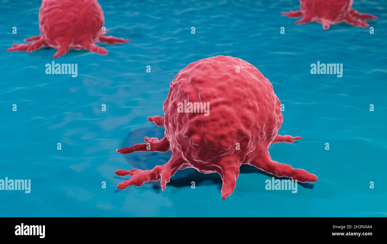 Cancer cell, illustration Stock Photo - Alamy