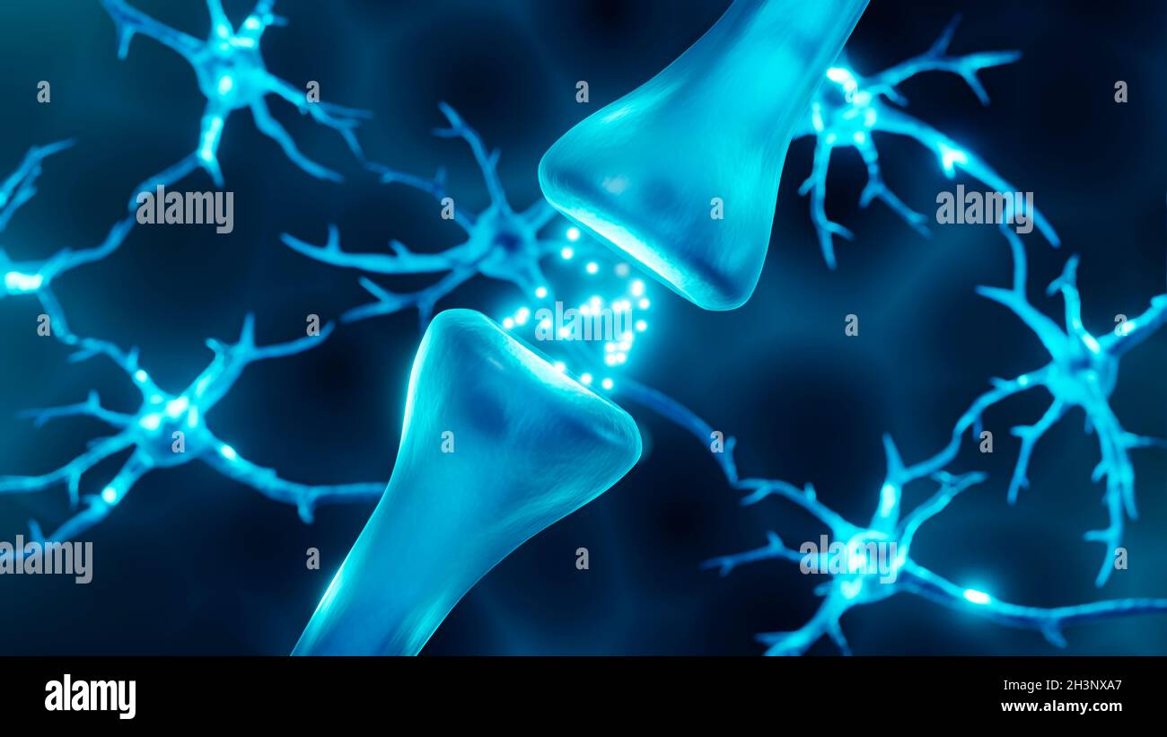 Memory brain synapses hi-res stock photography and images - Alamy