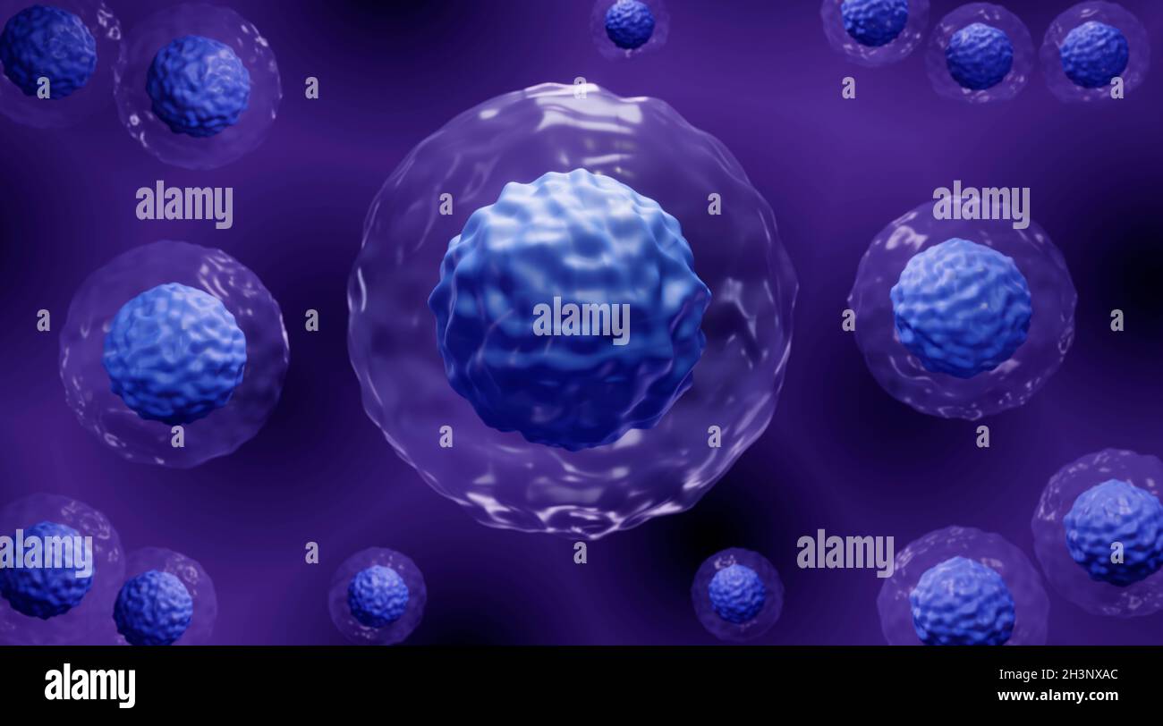 Embryonic stem cells, illustration Stock Photo - Alamy