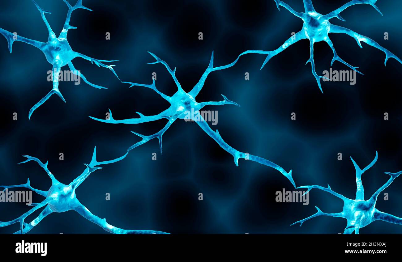 Neuroplasticity hi-res stock photography and images - Alamy