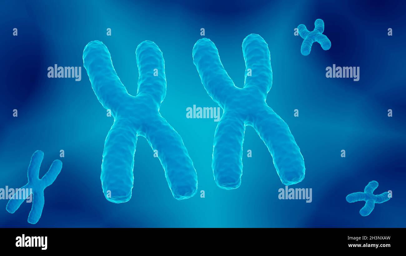 Genetic research chromosomes hi-res stock photography and images - Alamy