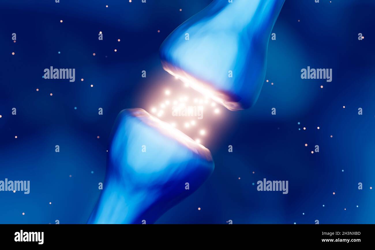 Memory brain synapses hi-res stock photography and images - Alamy