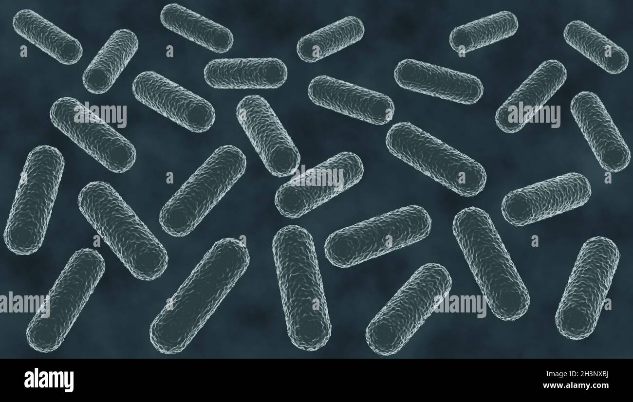 Bacteria microscopy, illustration Stock Photo - Alamy