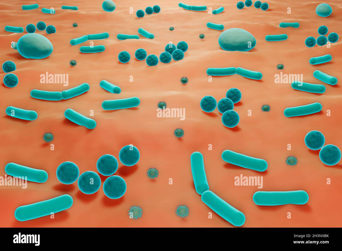 Skin microbiome, illustration Stock Photo - Alamy