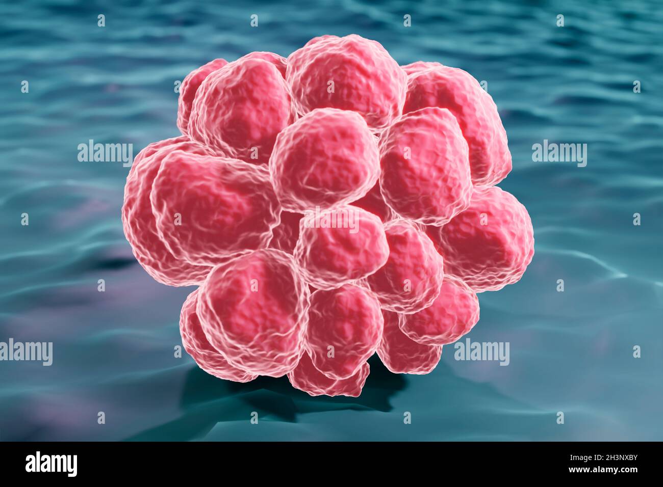 Cancer cells in tumour, illustration Stock Photo - Alamy