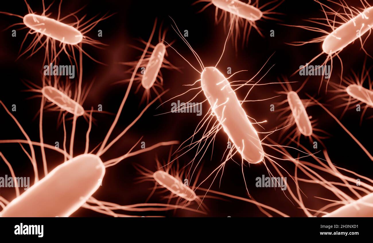 Clostridium bacteria, illustration Stock Photo - Alamy