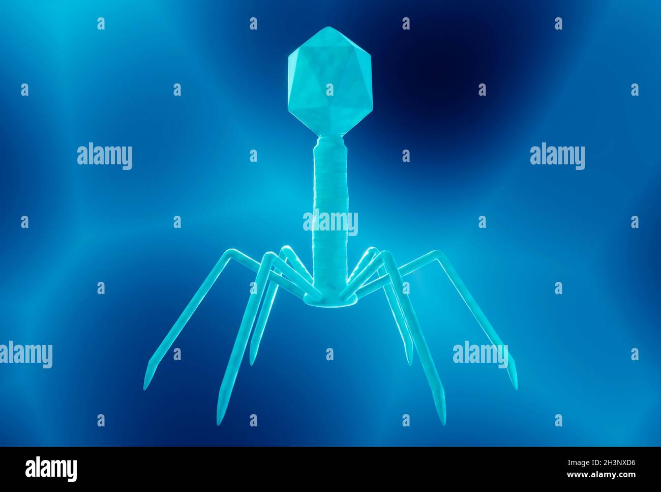 Bacteriophage t4 infecting hi-res stock photography and images - Alamy