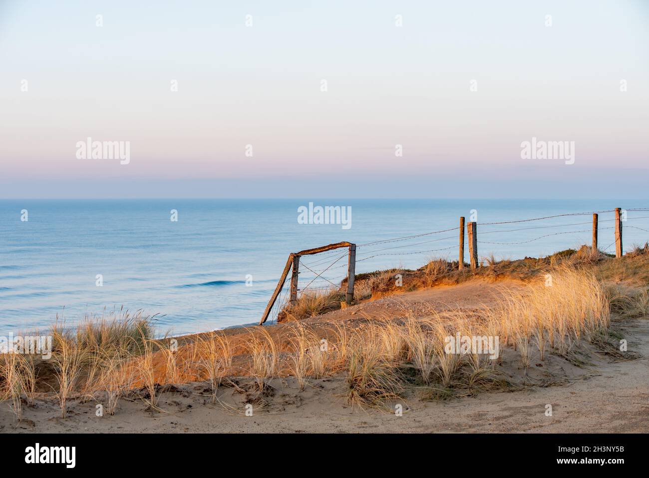 Hinterkante hi-res stock photography and images - Alamy