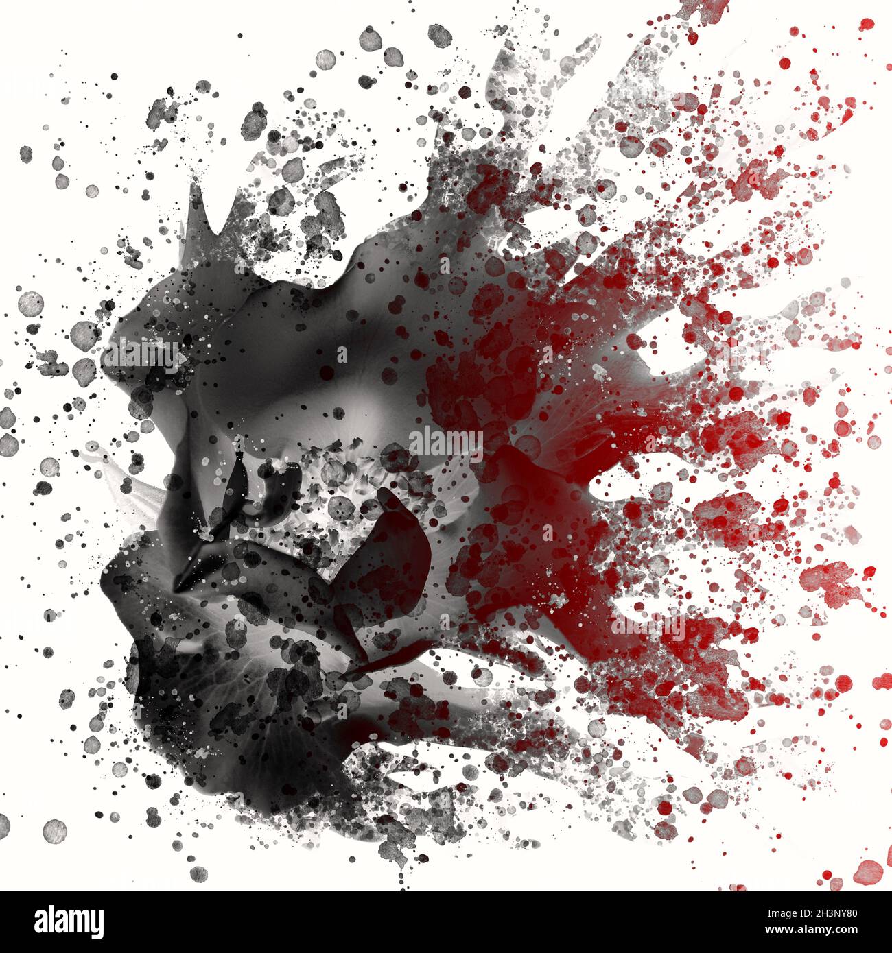 Dramatic splash effect single black rose floral digital art with red ...