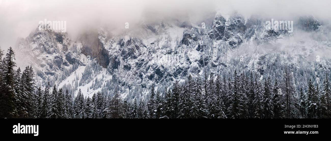 Moody snowy pine forest hi-res stock photography and images - Alamy