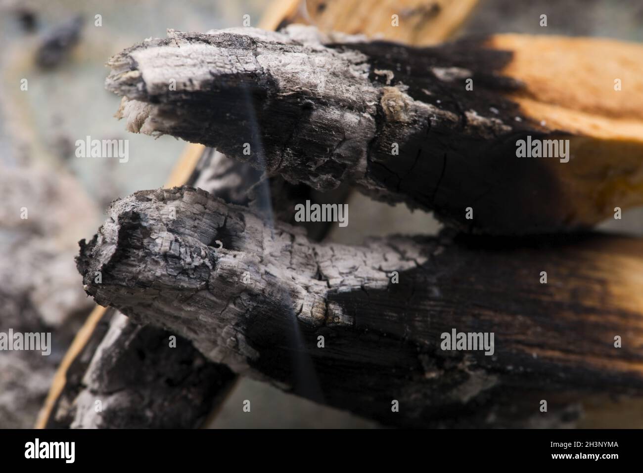 Smudging ceremony using Peruvian Palo Santo holy wood incense stick ...