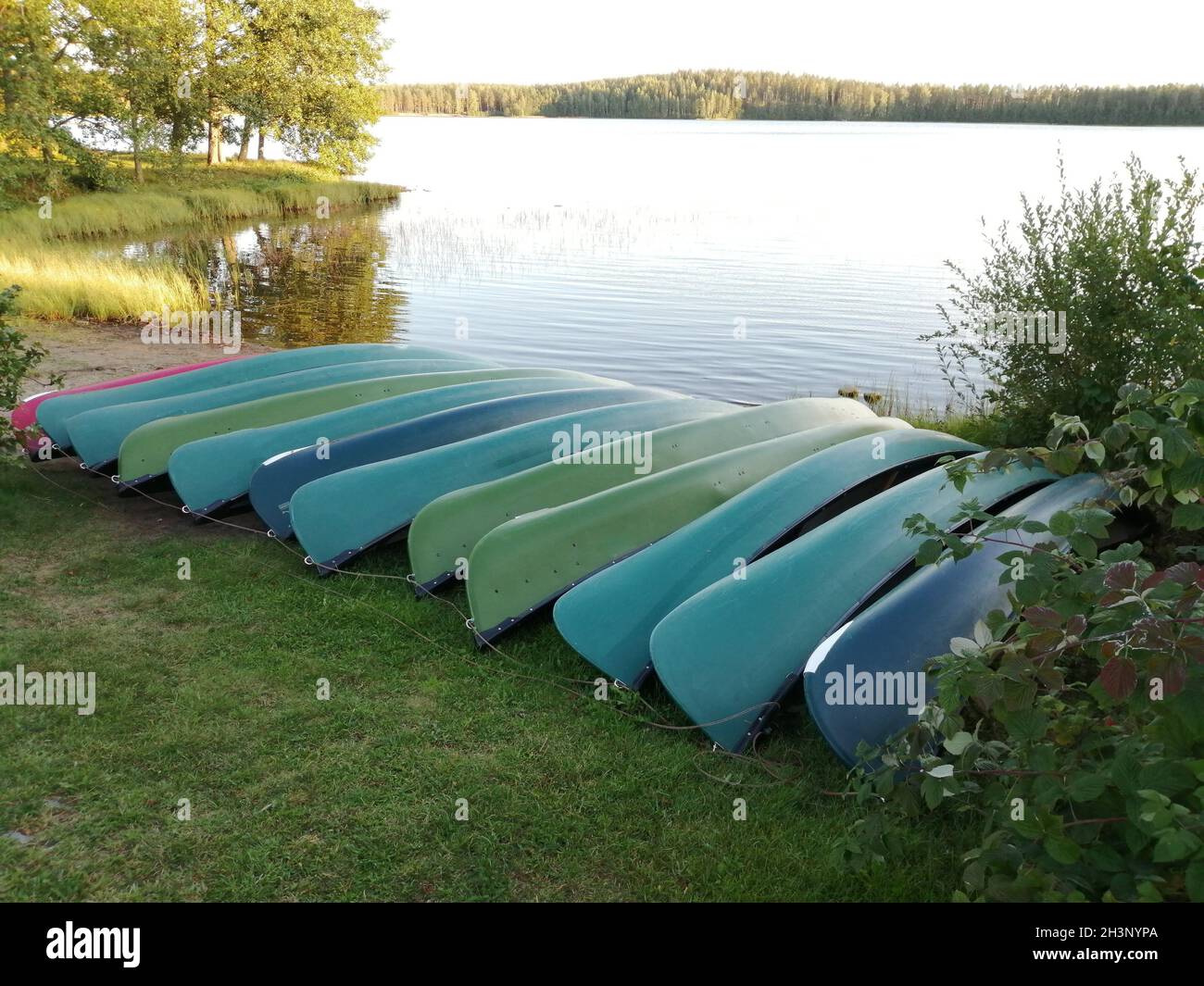 Boat ready rowing race hi-res stock photography and images - Alamy