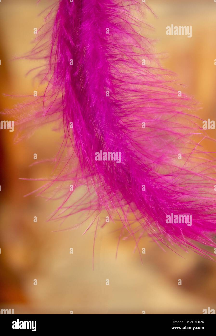 Falling feather on an autumn background. Minimal autumn concept Stock ...