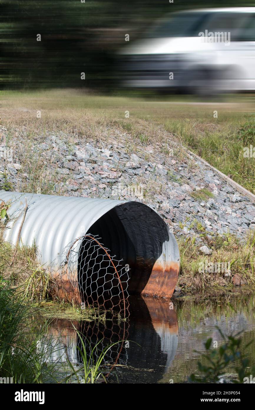 Pipe and mesh that recovers the penetration of beavers Stock Photo - Alamy