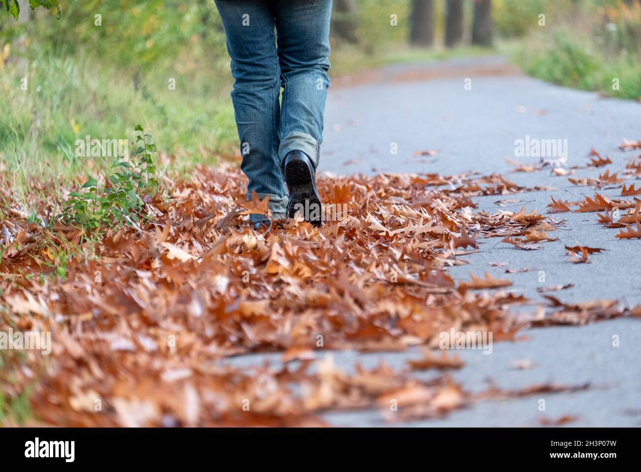 Feet trekking boots hiking through fall foliage. Traveler alone outdoor ...