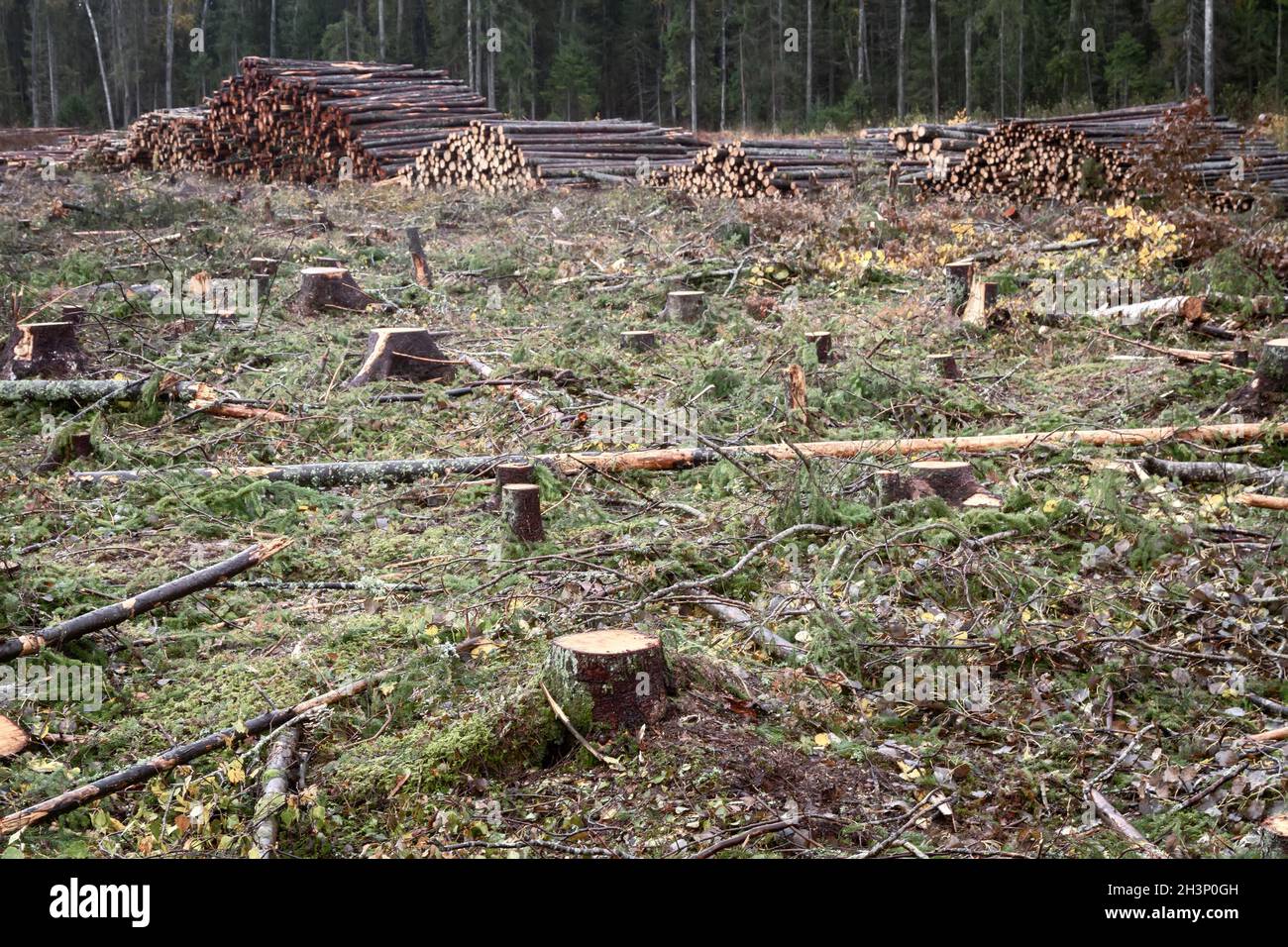 Cut over land Stock Photo - Alamy