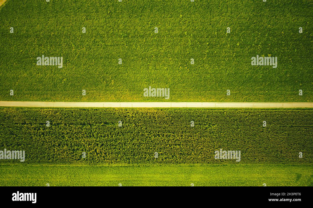 Aerial view of countryside road between fields Stock Photo - Alamy