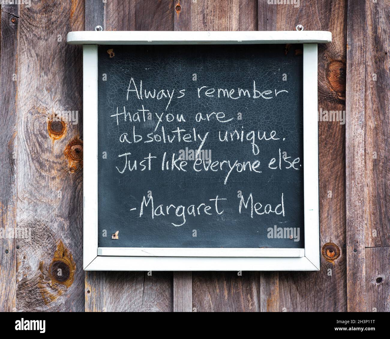 An inspirational quote by Margaret Mead posted on a blackboard Stock ...