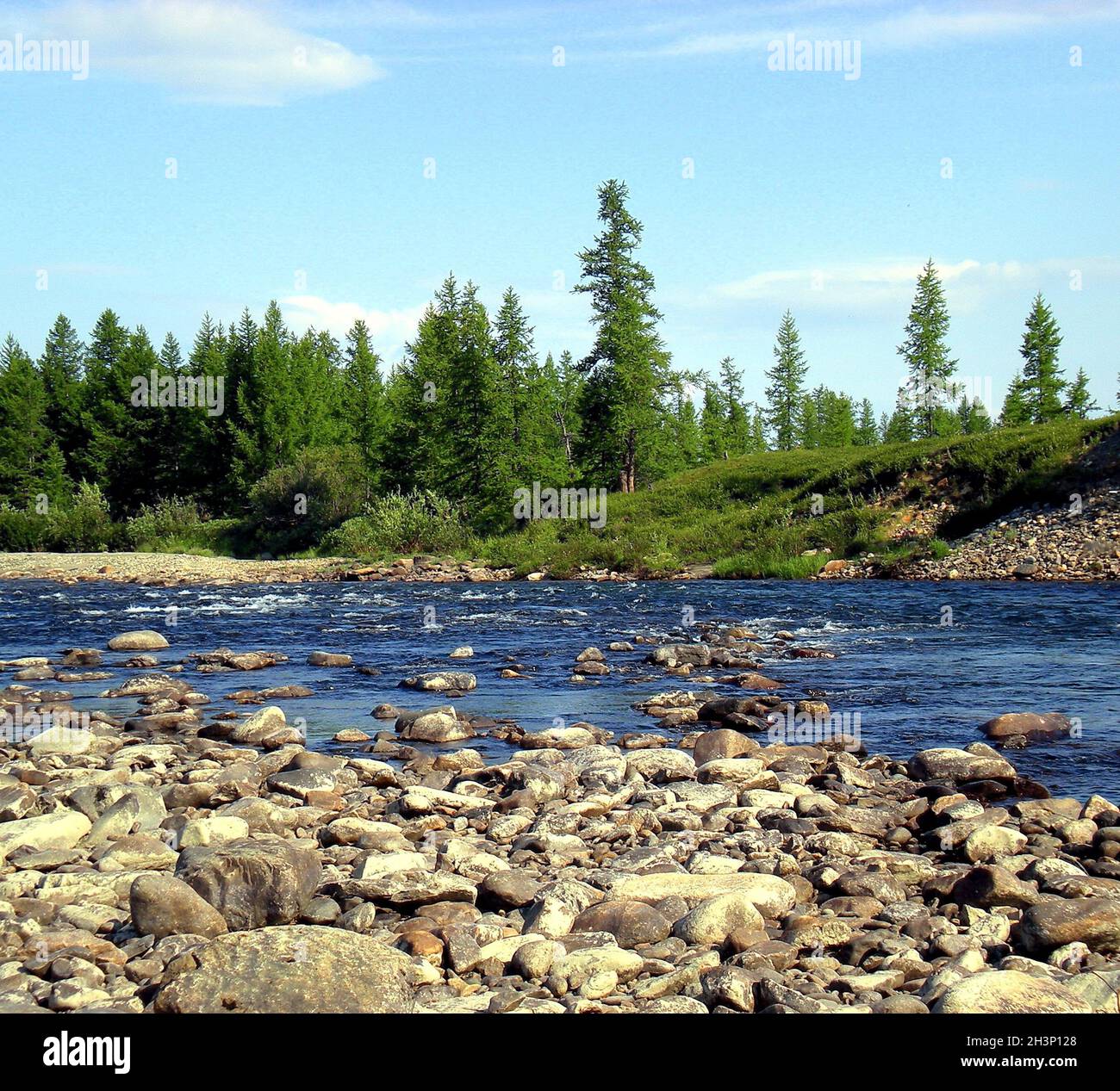 Taiga russia siberia river hi-res stock photography and images - Alamy