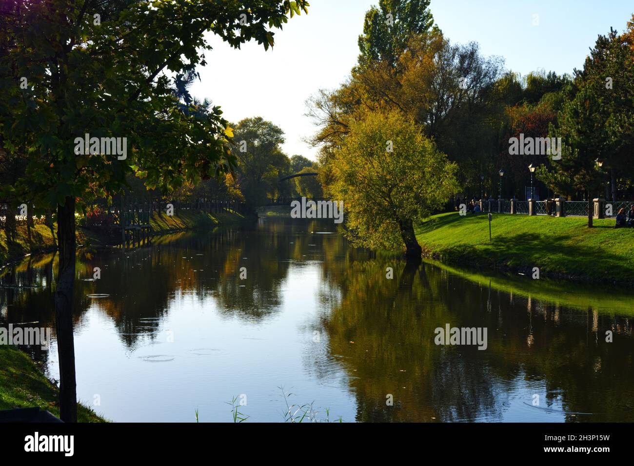 Riverside trees hi-res stock photography and images - Alamy