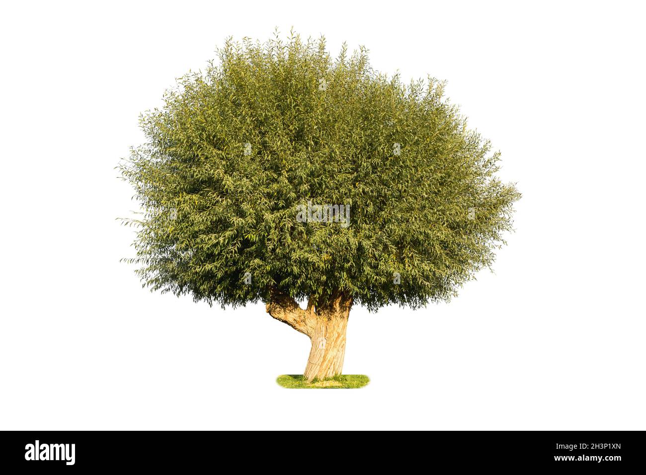 Land dry Cut Out Stock Images & Pictures - Alamy