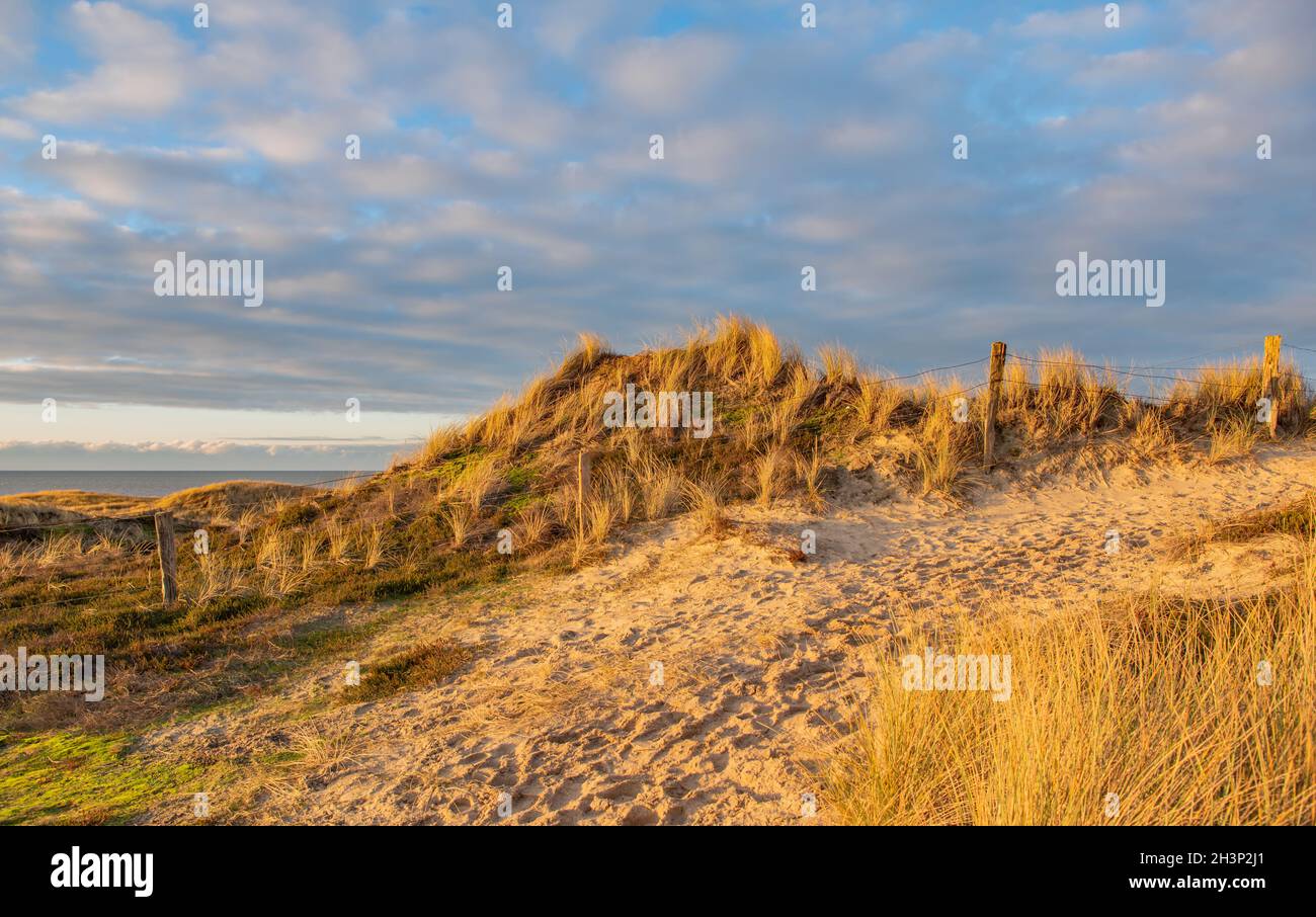 Dune chain hi-res stock photography and images - Alamy