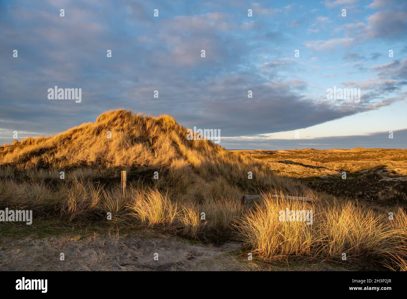 Dune chain hi-res stock photography and images - Alamy