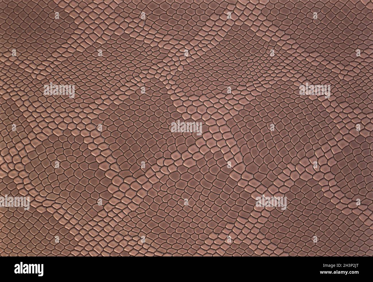 Light brown leather texture background with pattern, closeup. Reptile ...