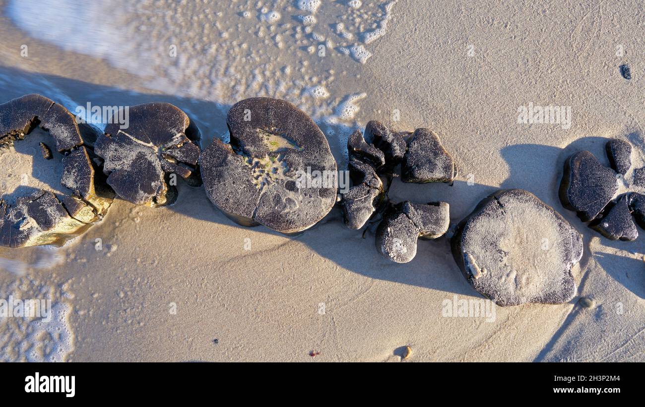 View from above on breakwater at Warnemuende beach on German Baltic Sea ...