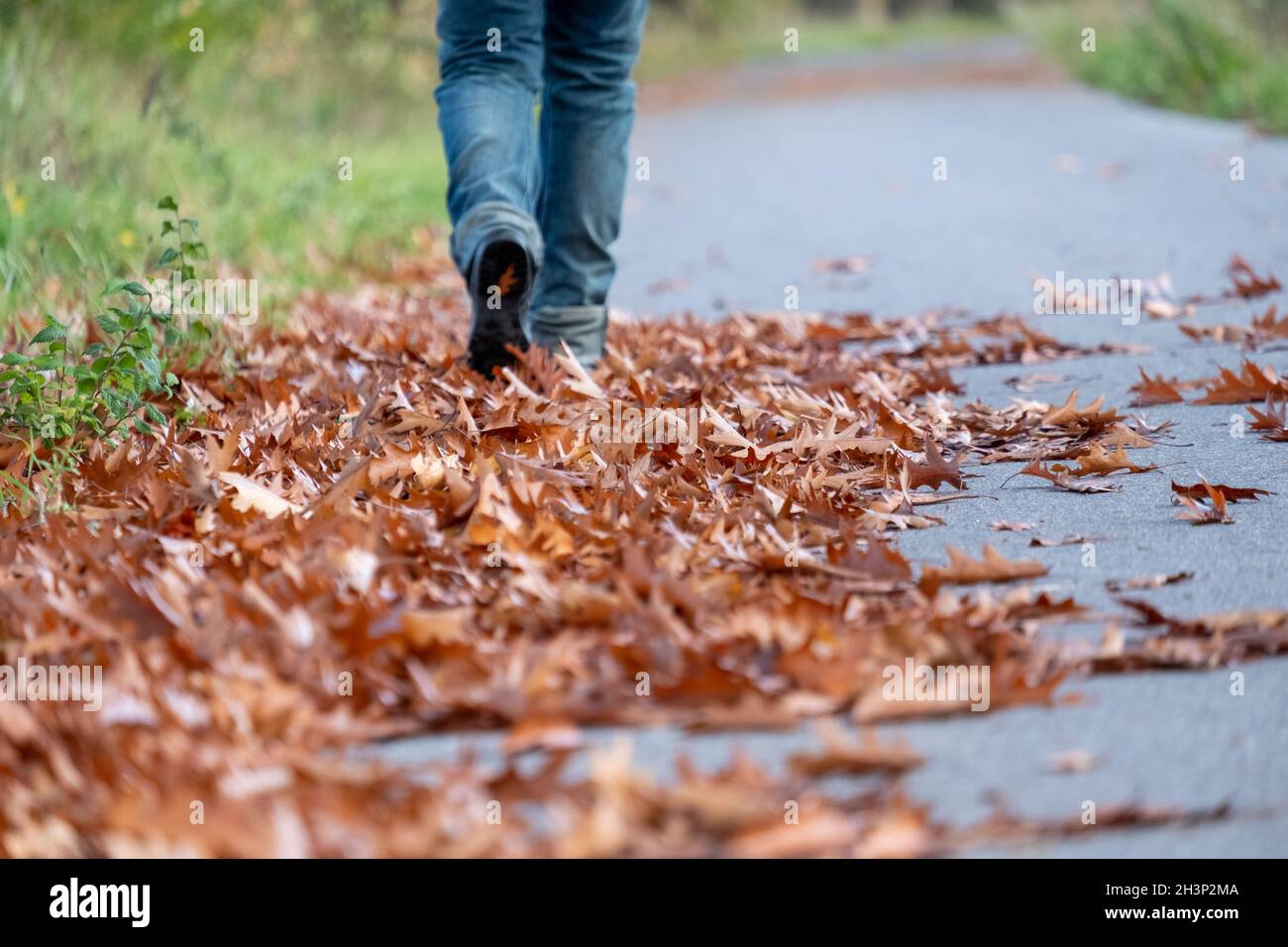 Feet trekking boots hiking through fall foliage. Traveler alone outdoor ...