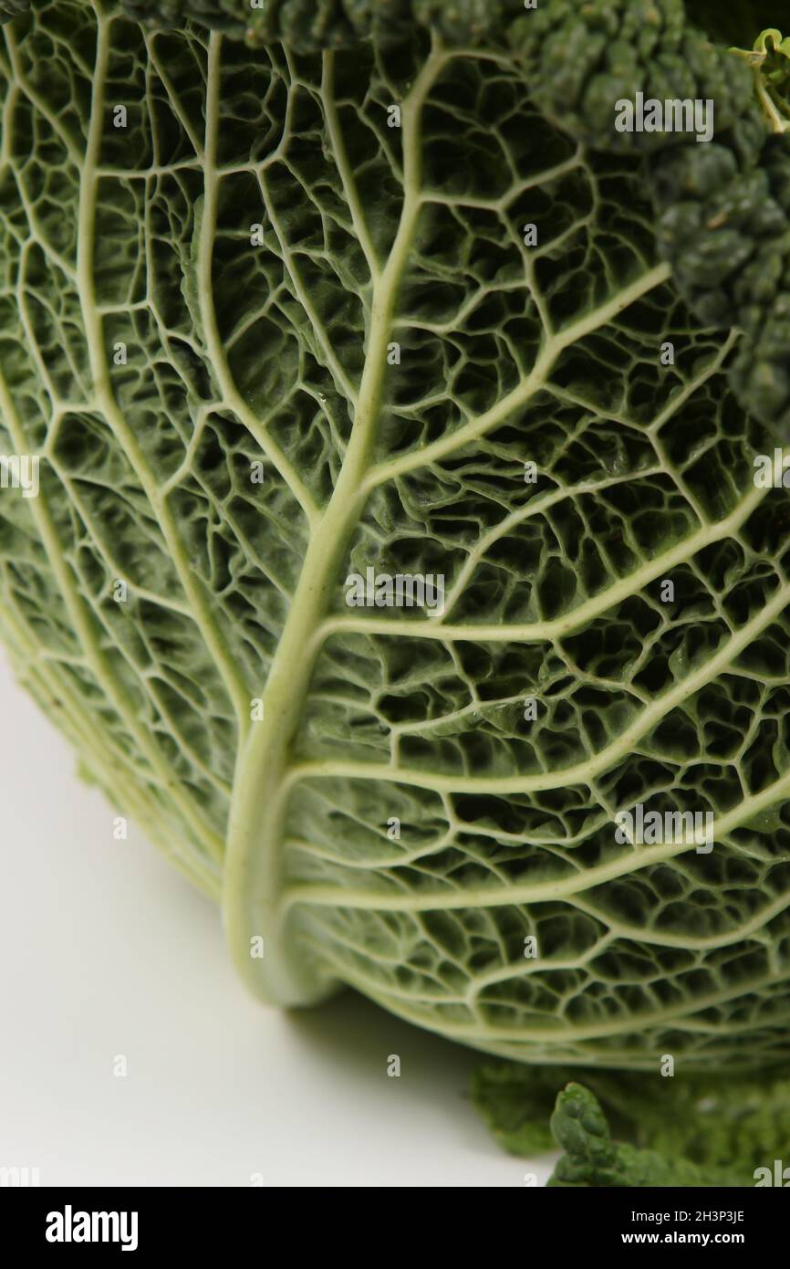 Vertical shot of a fresh savoy cabbage isolated on a white background ...